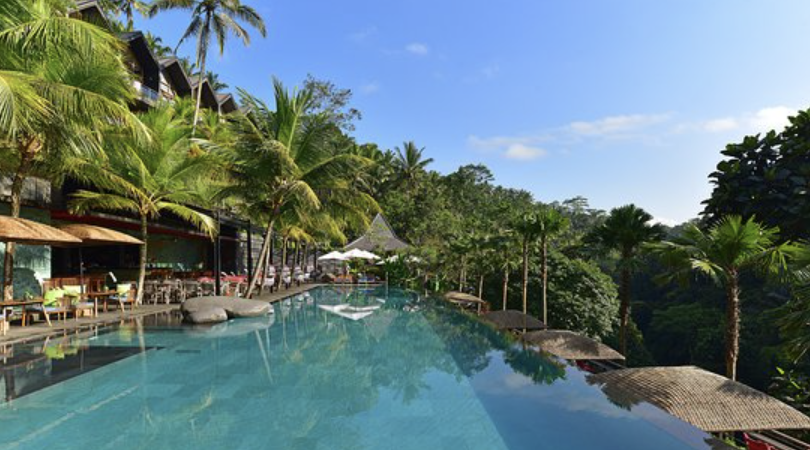 Exploring Jungle Fish Bali Photos, Location, Menu, and Price | Blog Get ...