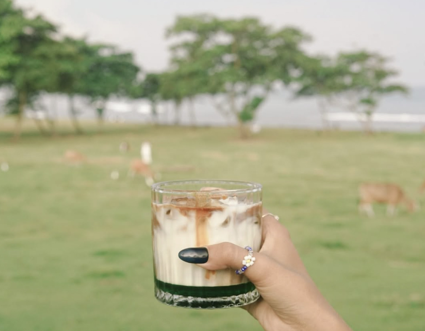 Cafe Nuansa Alam View Sawah, Cek Hamparan Coffee Menu, Harga, Lokasi ...